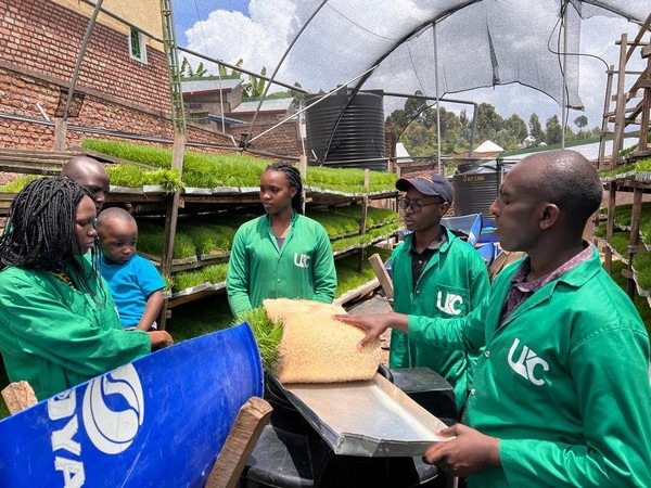 Fodder production in Kenya