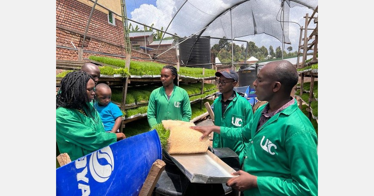 Fodder production in Kenya