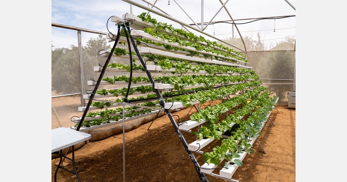 South Africa: Case study on Touws River Commercial Hydroponic Farm