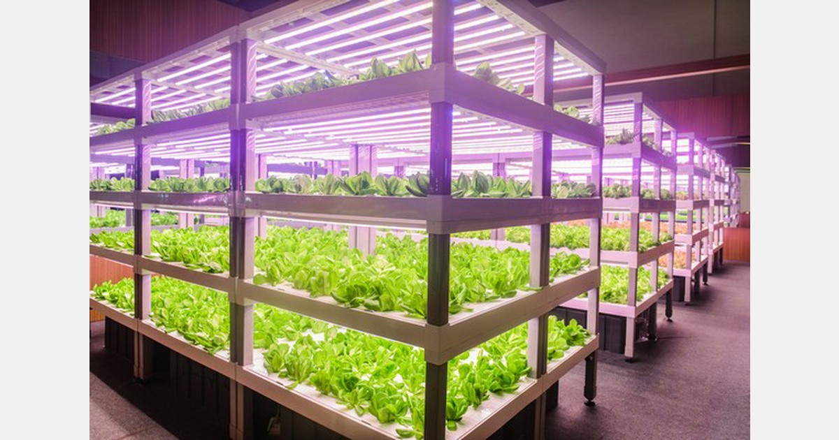 What's driving vertical farming in Canada?