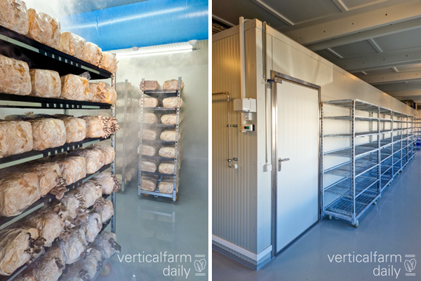 Denmark: "Collaborating with chefs in Copenhagen boosts our image"