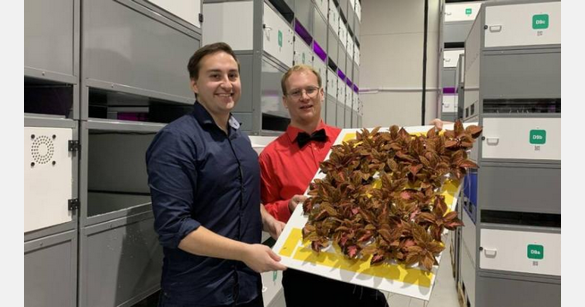 How AI is used to optimize vertical farming