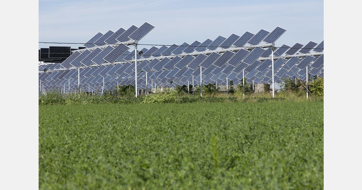 Agrivoltaics for vertical farming