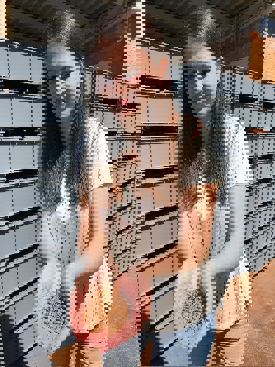 The parallels between insect farming and vertical farming