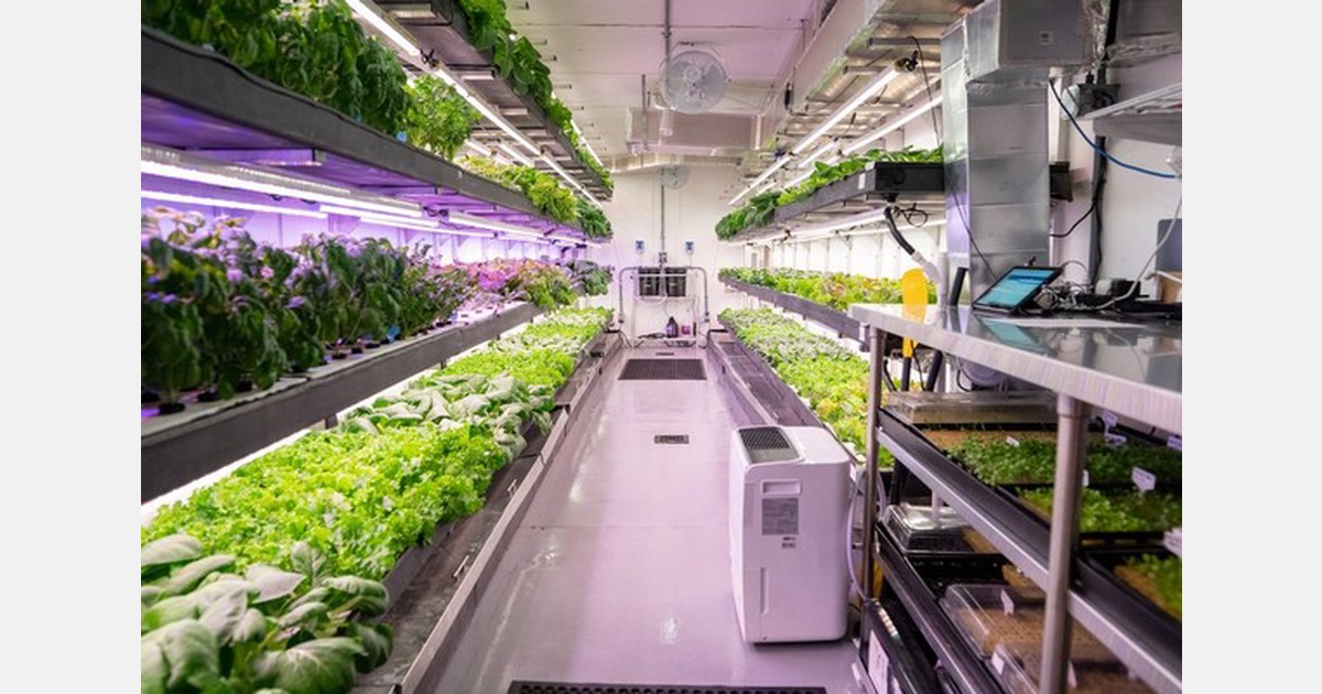 From NFT to DWC for container farm