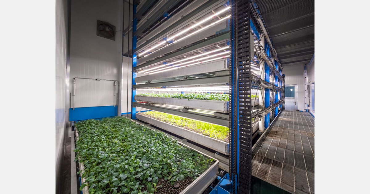 New Zealand: New vertical farm build in Ashburton