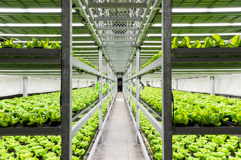 US: Vertical farm cuts down operational costs by 40-60% using chillers