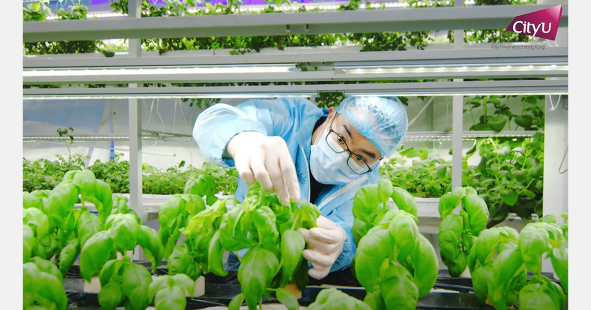 A tour at Farm66's Hong Kong farm