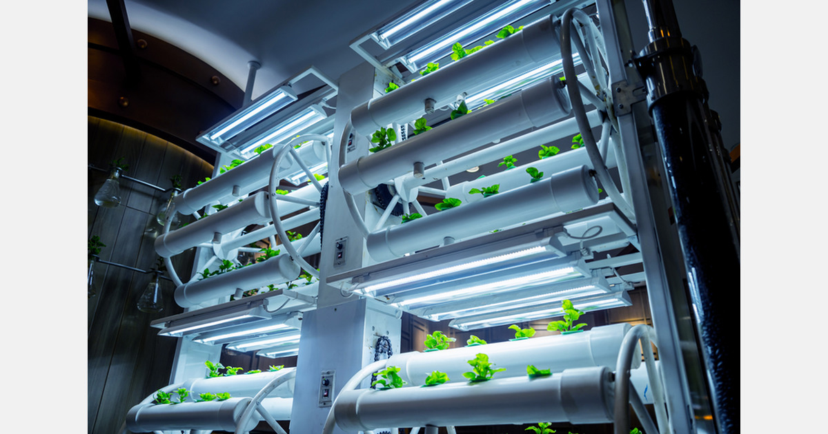 UK: Vertical farming project helps microgreens growers