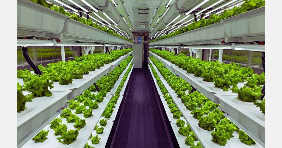 Demystifying organic vertical farming