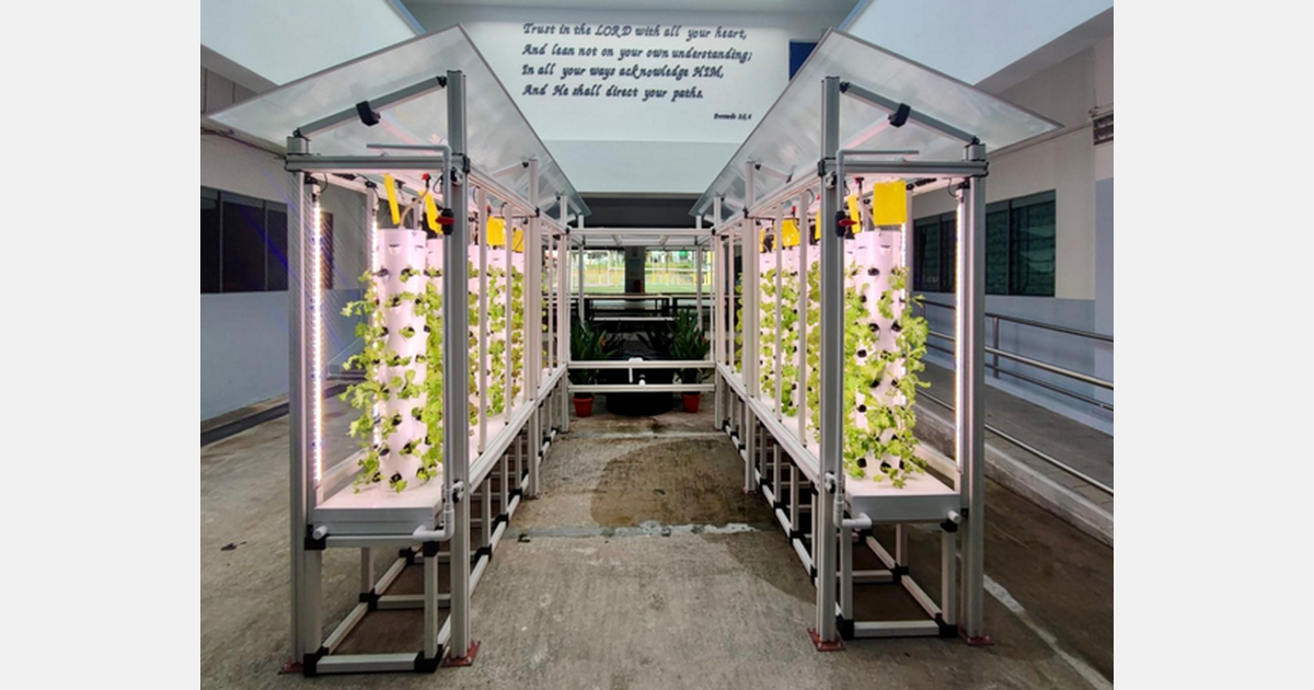 V-Plus Agritech Group