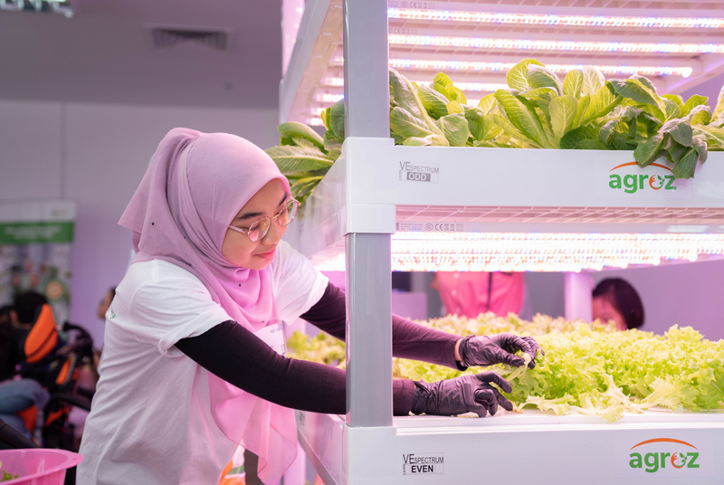 Malaysia: 750m2 EduFarm opened in Kuala Lumpur city mall