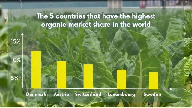 Denmark: Urban farming in Copenhagen grows relationships in the city