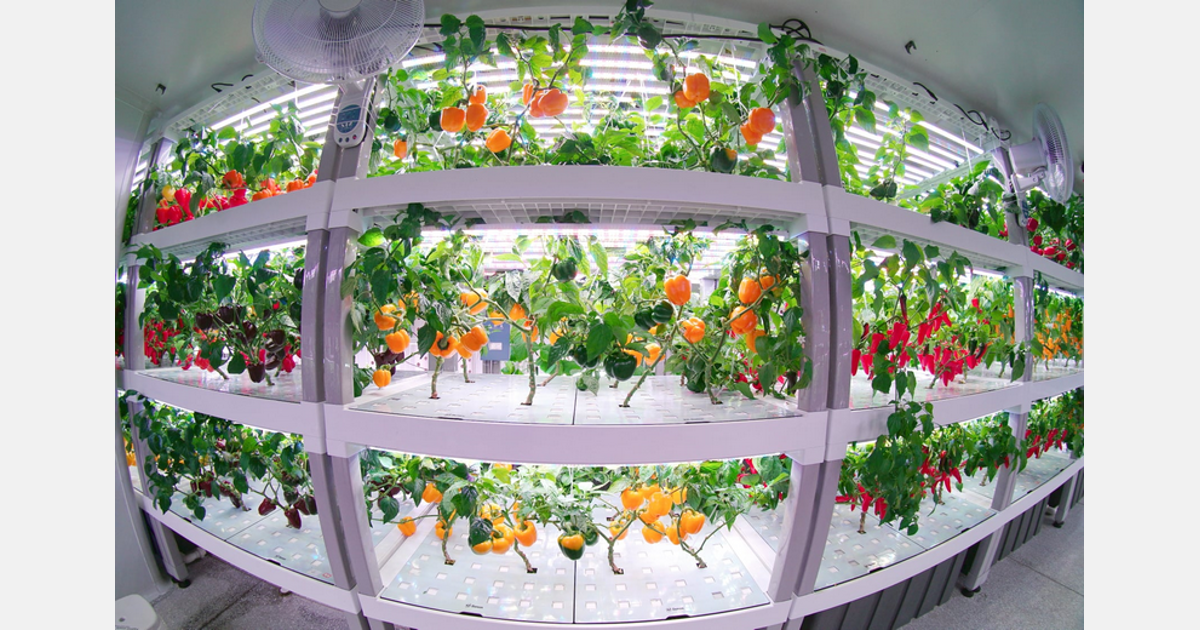 Malaysia: New farms to supply greens and fruiting crops in Southern ...