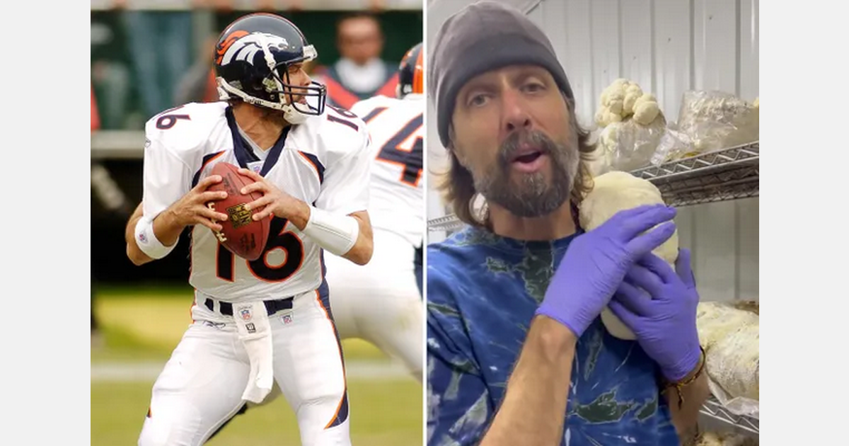 US: Retired NFL star turns to mushroom farming