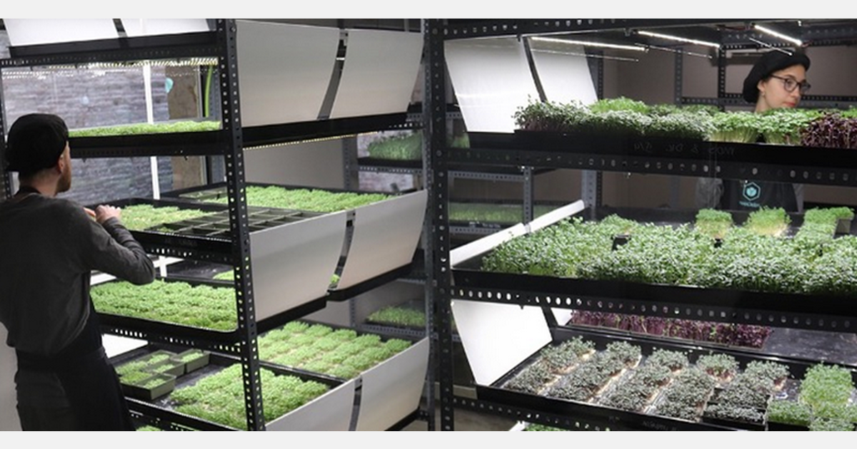 Training on microgreen farming