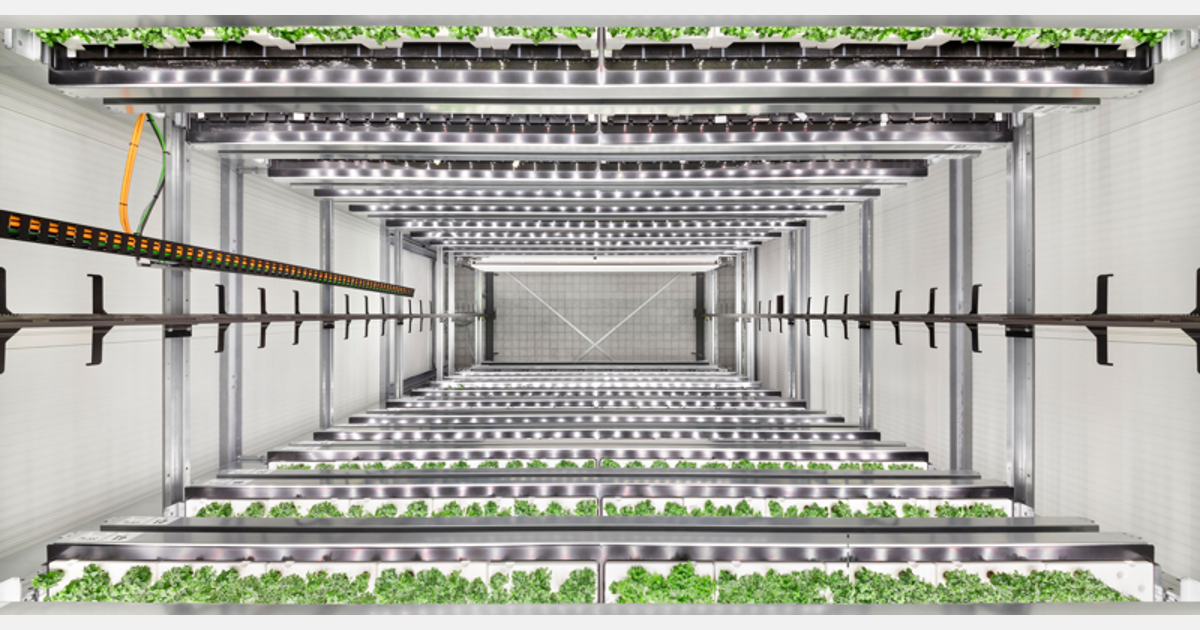 Infarm's Dutch branch declared bankrupt