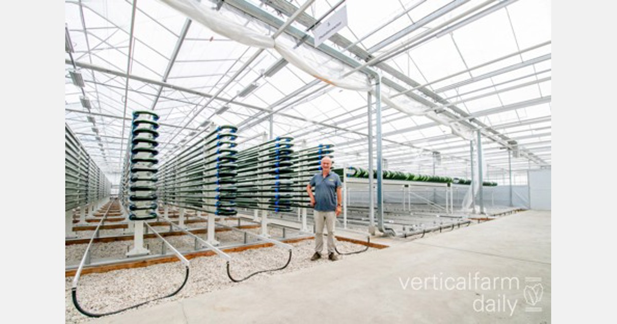 NL: Algae grower pivots from hybrid to growing indoors without daylight