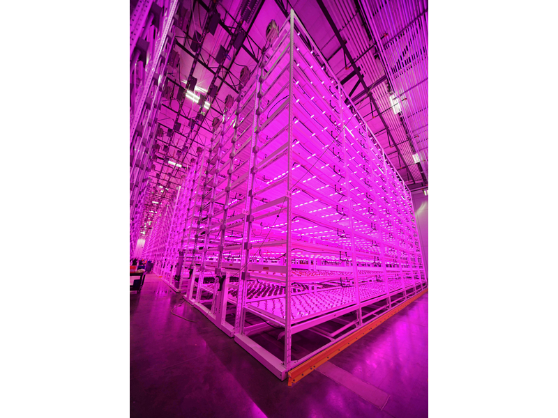 Raising the limits of vertical farming
