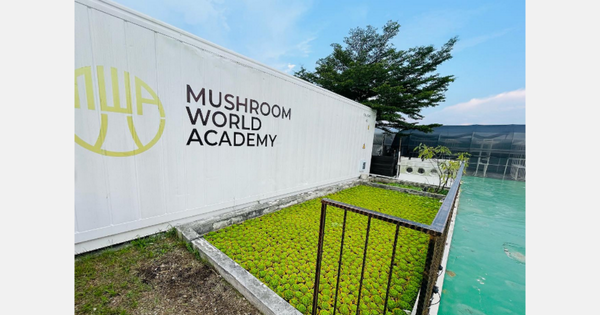 Mushroom World Singapore