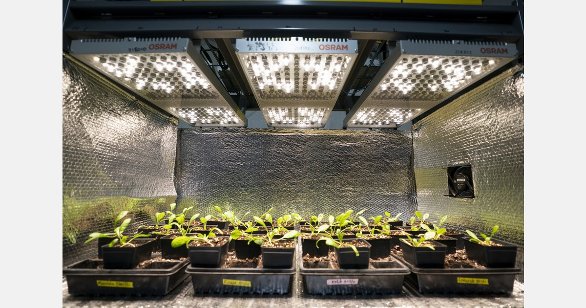Texas A&M AgriLife expands controlled environment horticulture initiatives: