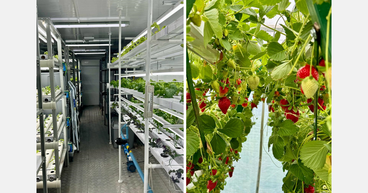 Chile sees great interest in vertical farming