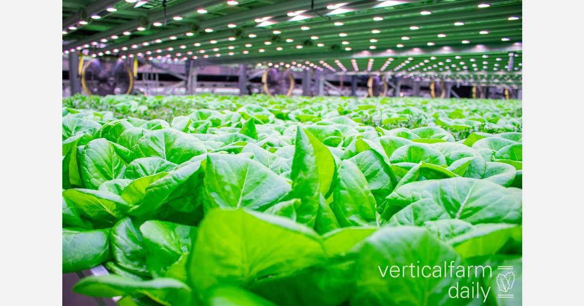 US (CA): Plenty further reduces California presence