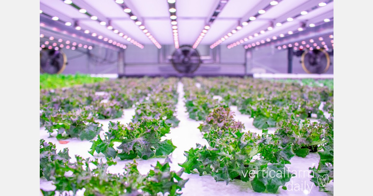Ekō Solutions and Anu partner on container farm project