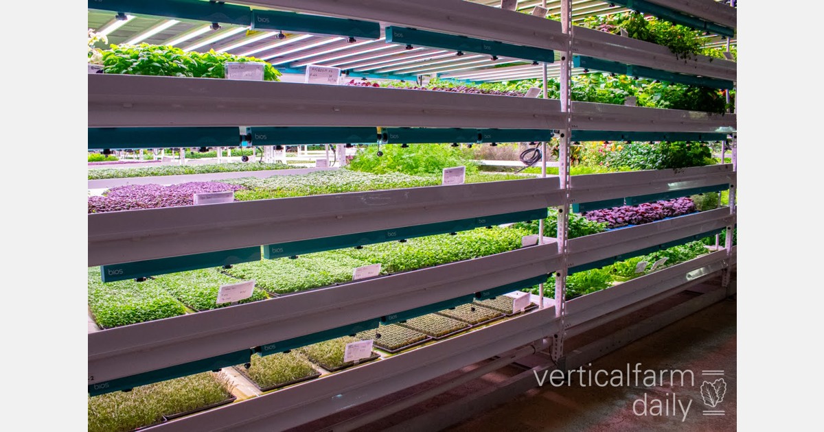 UAE startup aims to help nation reach sustainability goals