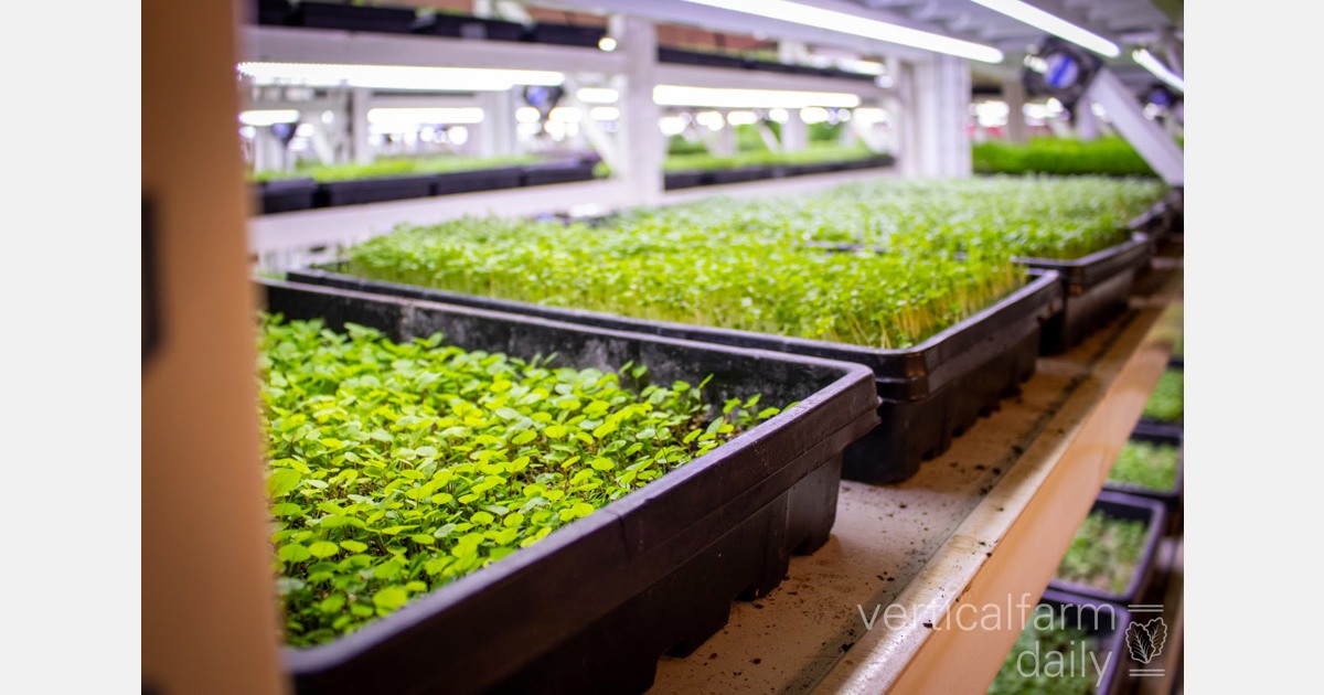 CEA Alliance welcomes new US Secretary of Agriculture