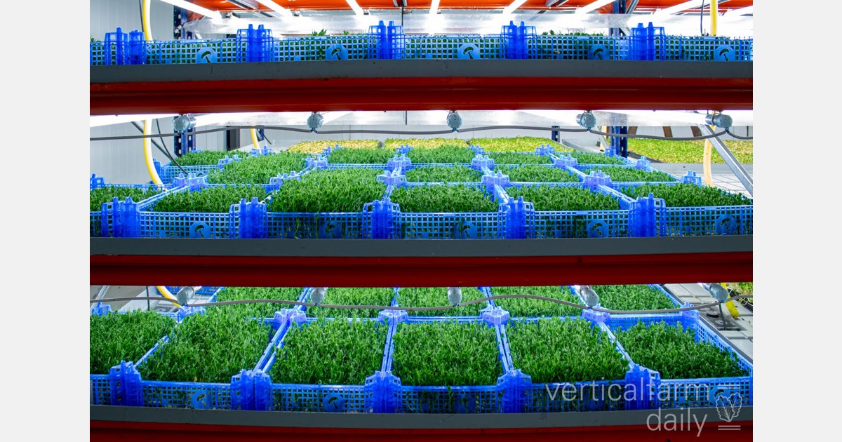 Lessons learned from using NFT growing methods