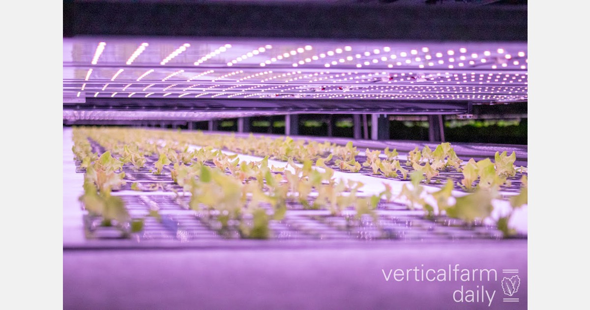 Saudi Arabia’s NEOM: $500B mega-project unveils new food company Topian