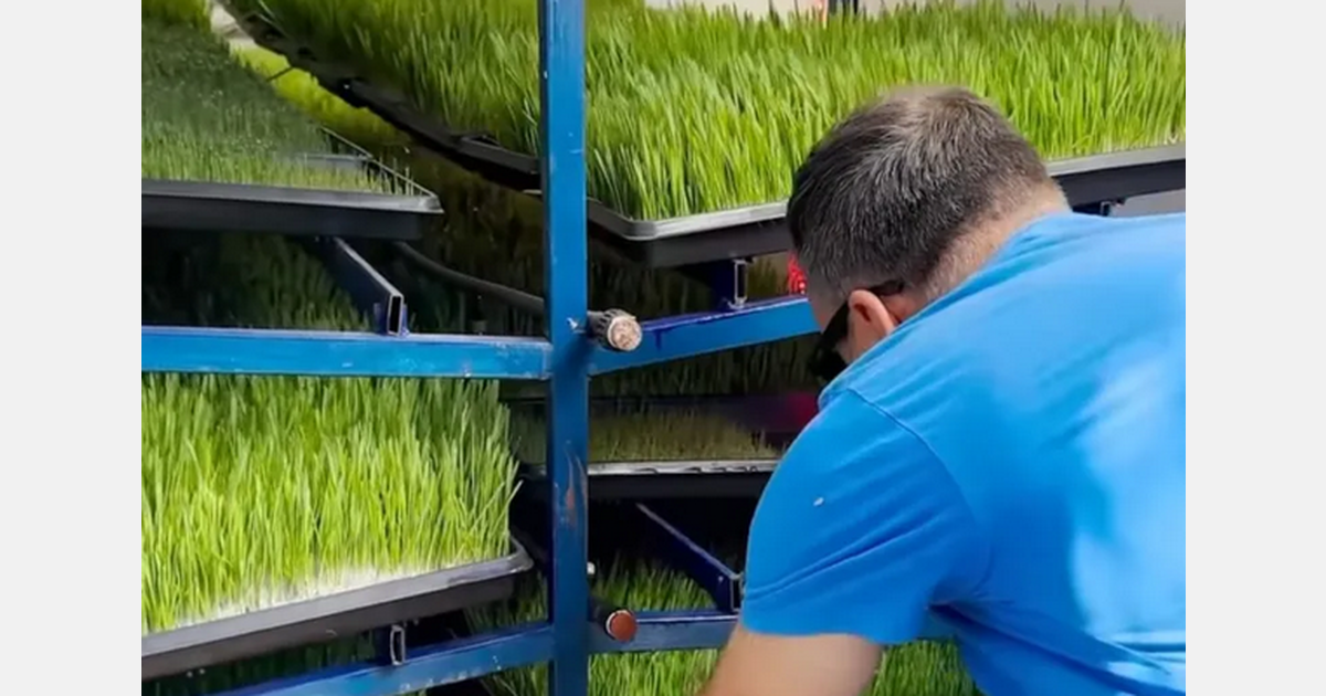 Brazil: Indoor fodder for the win due to increasing droughts