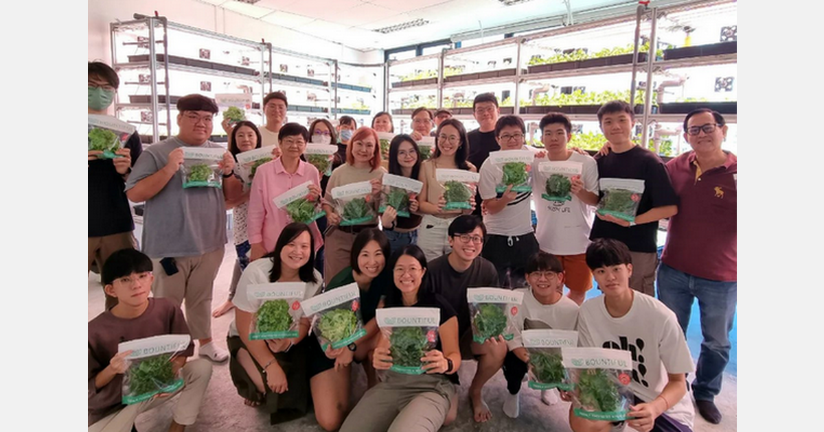 Lessons about vertical farming