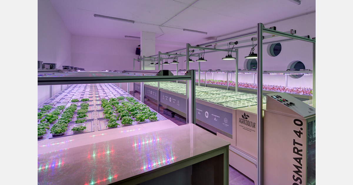 Italy: Former factory becomes new home for vertical farm