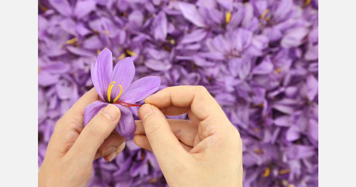 India: Using vertical farming to replicate perfect conditions for ...