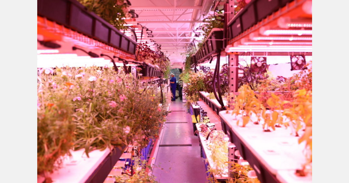 US (VA): Fresh Impact Farms eyes expansion plans