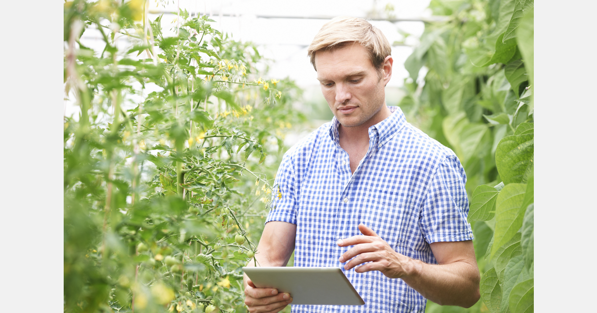 The importance of CO2 levels in plant growth