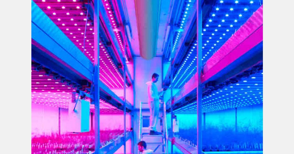 Why you don’t need full ‘white’ light for crop inspection