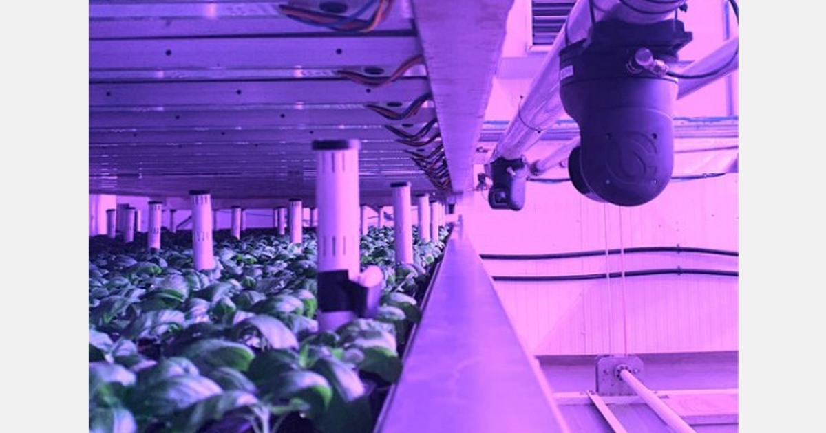 ‘From slow visual feedback to real-time plant physiology’