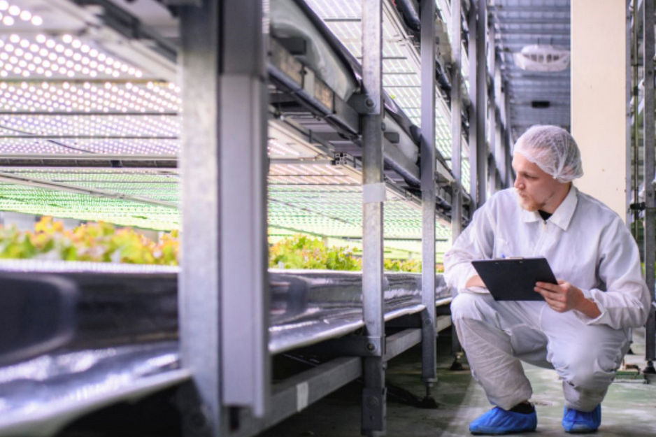 ‘From slow visual feedback to real-time plant physiology’