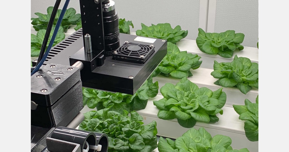 An AI-based, energy-optimized lighting system for urban indoor plant ...