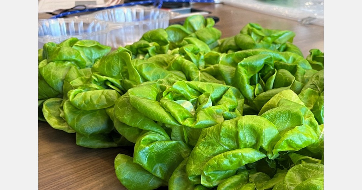 How to measure the marketability of vertically farmed produce?