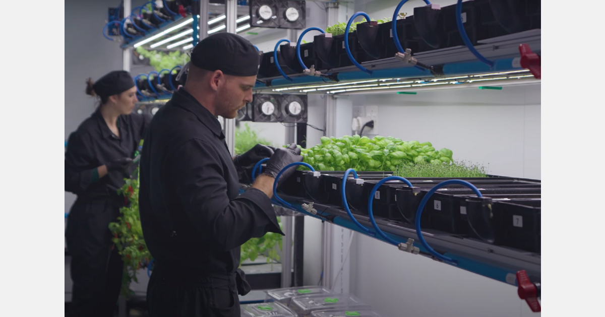 “In an industry with little investment, we have chosen to focus on ...