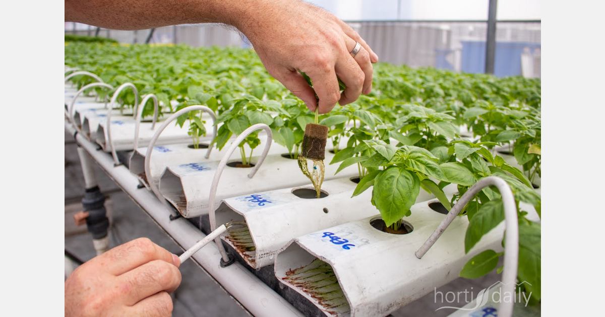 Pilot project in Cambodia enables families to grow vegetables in more ...