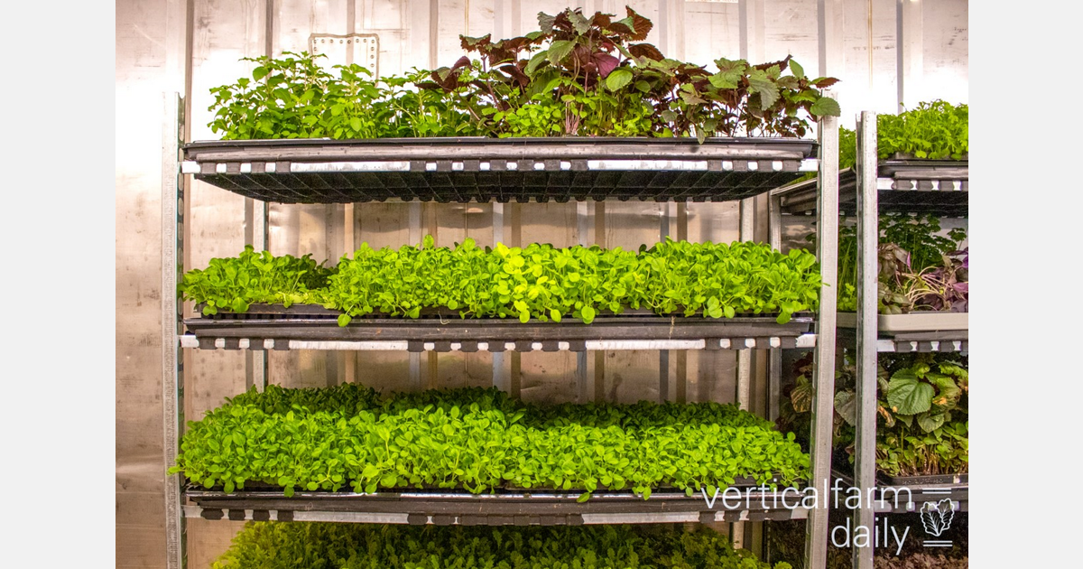 Examining nitrogen levels in hydroponic substrate