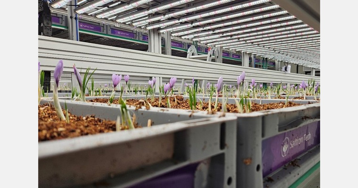 Saffron Tech launches new pilot facility