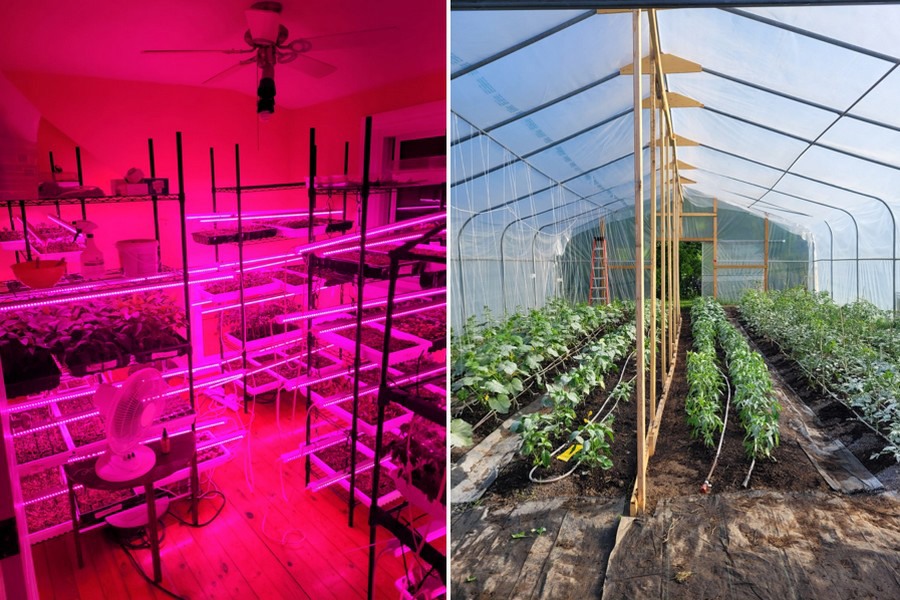 The benefits of hybrid farming: Breeding indoors, finishing off outside