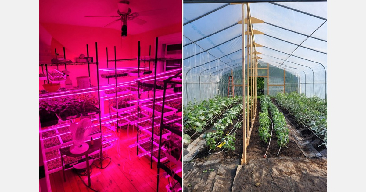 The benefits of hybrid farming: Breeding indoors, finishing off outside