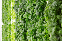 More sustainable and cheaper vertical farming by combining textiles and ...